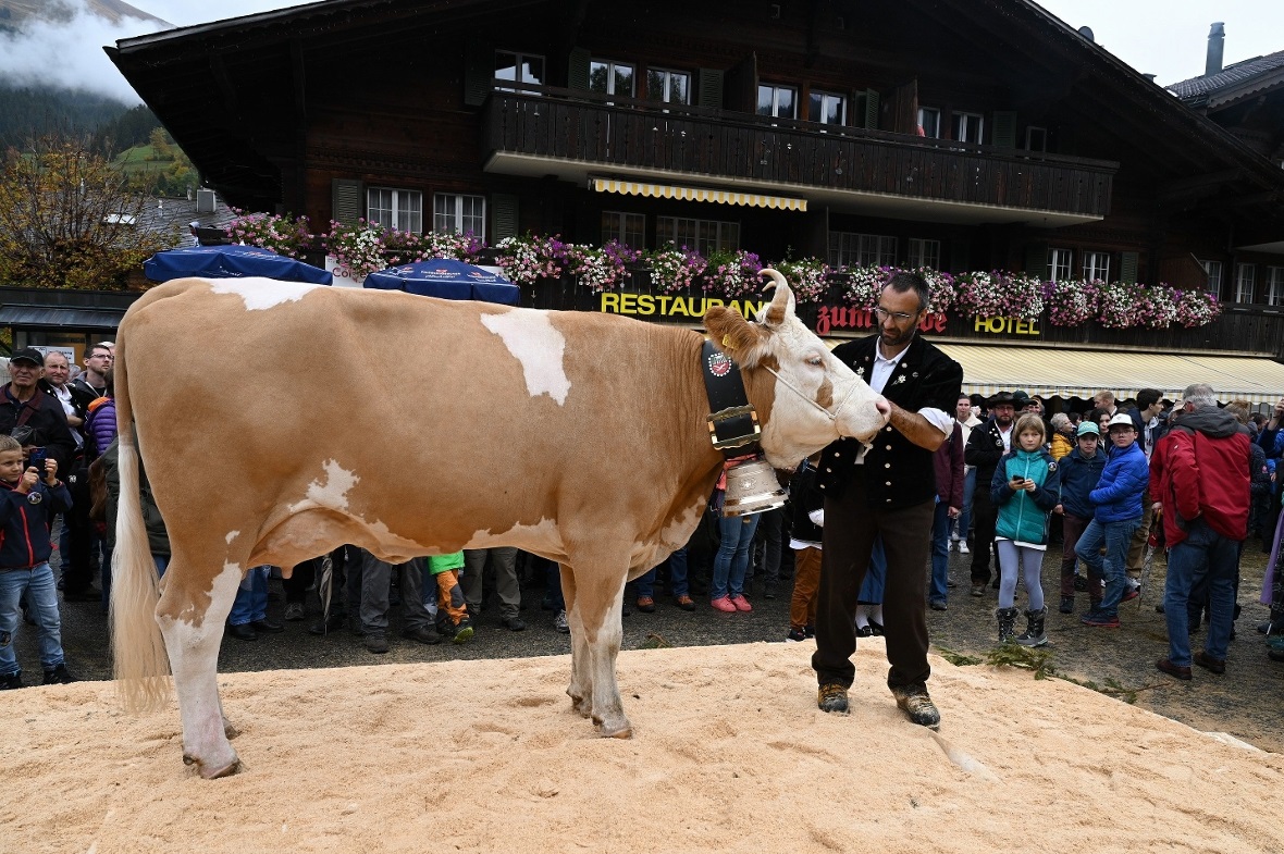 Tradition, Herzblut und eine neue Miss am 25. Älplerfest Lenk
